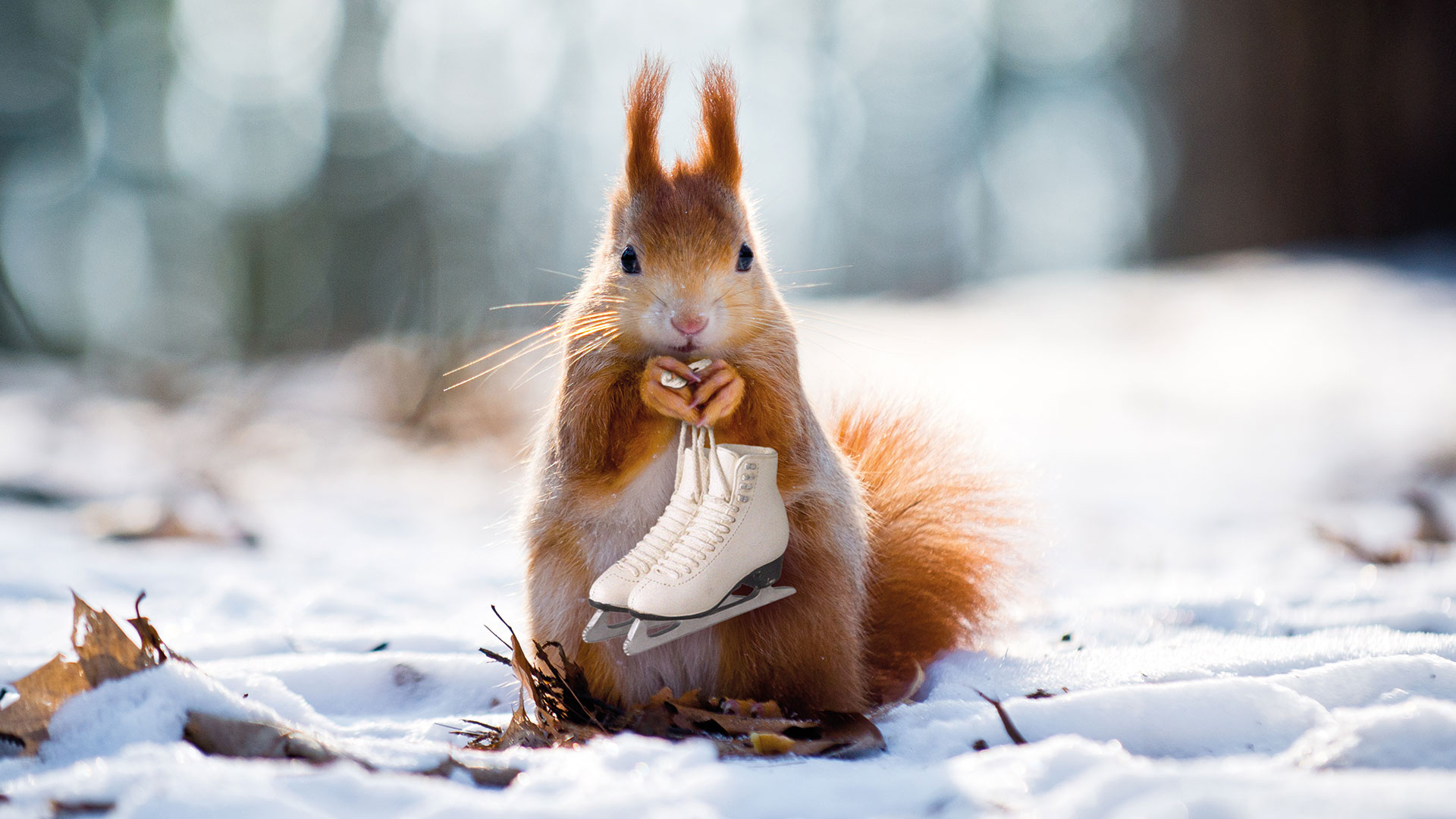 Escher Deierepark – Commune Esch-sur-Alzette