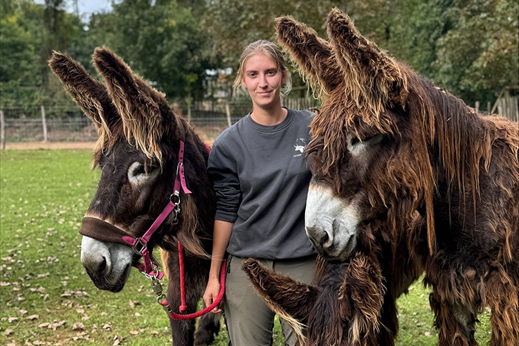 Home - Escher Deierepark